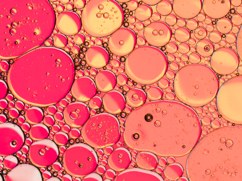 Multi-Omic Rejuvenation of Aged Tissues With Transient Reprogramming and Its Therapeutic Potential